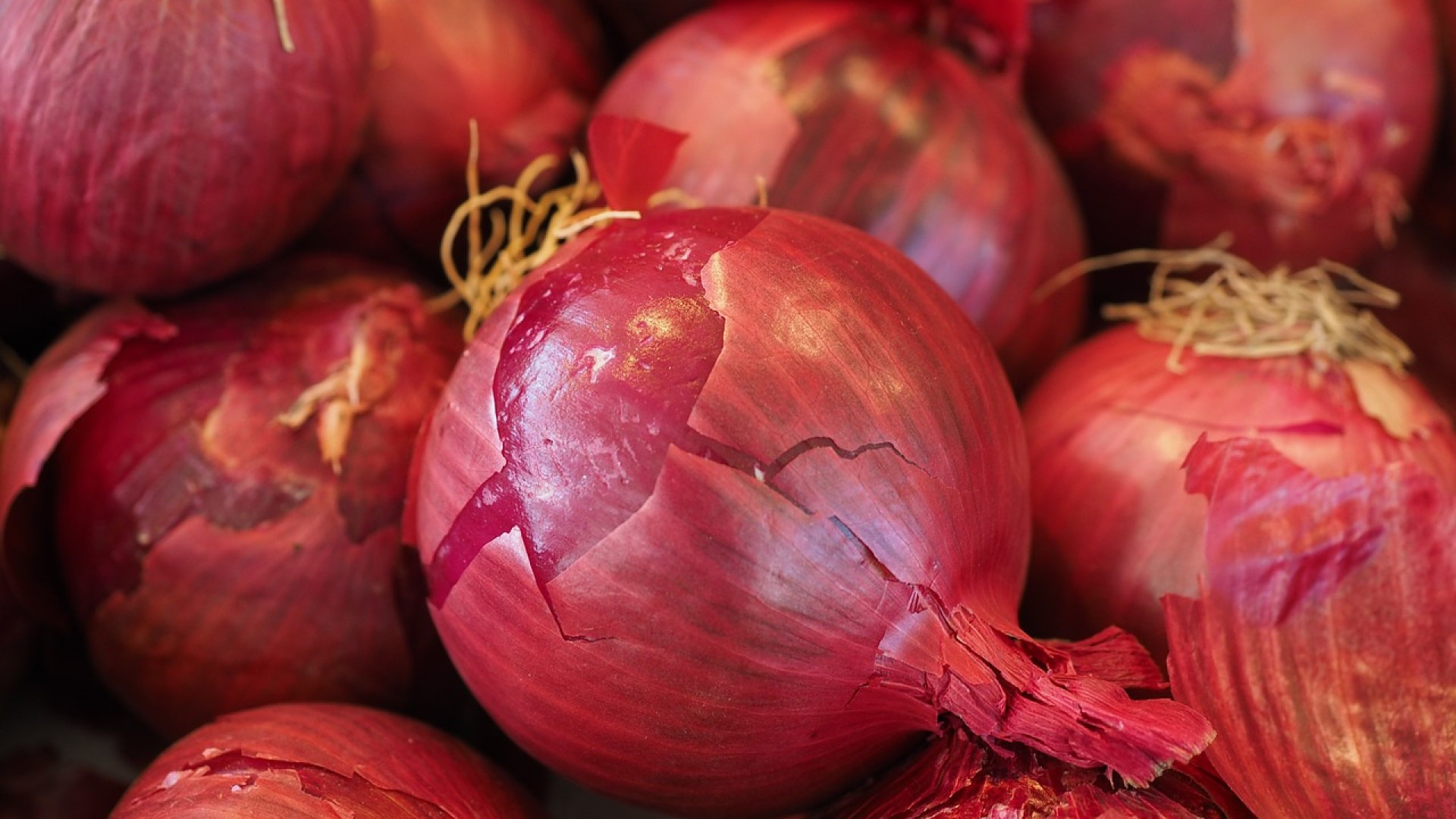 Comment réaliser un délicieux confit d’oignon rouge